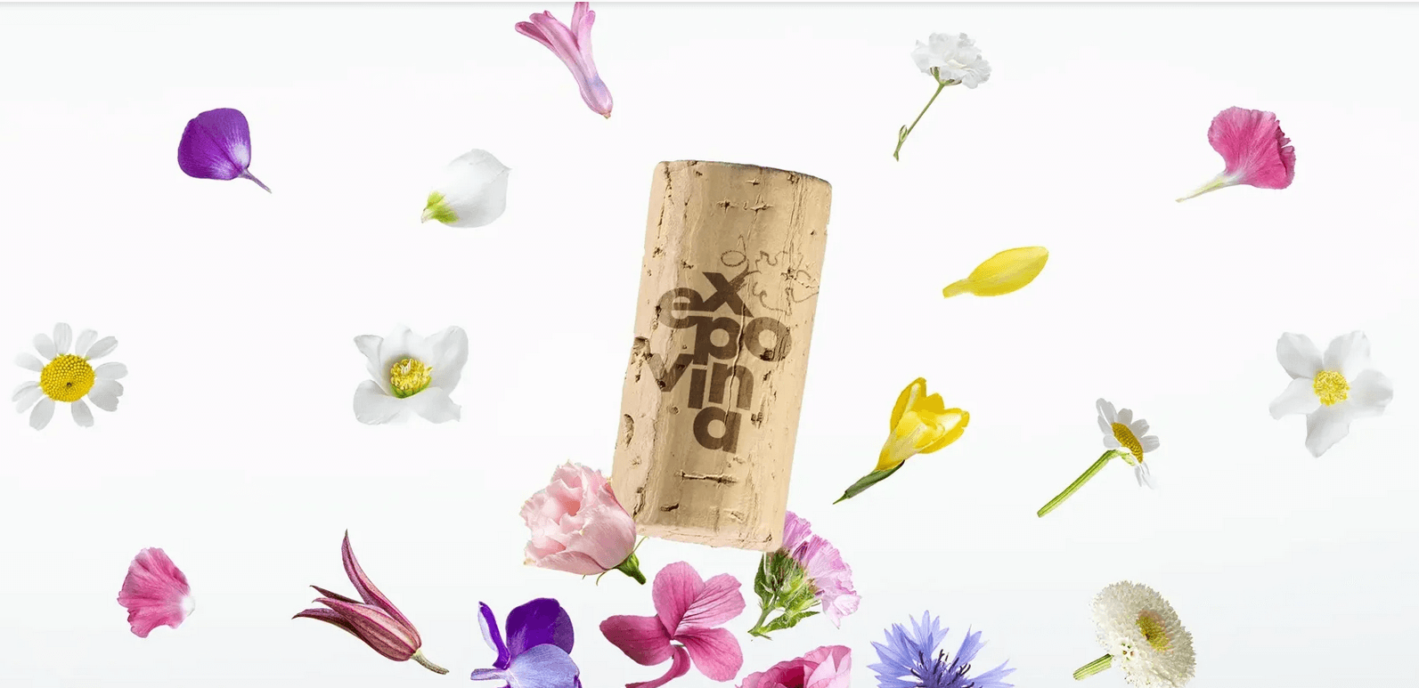 ExpoVina Primavera 2024 - Casa Vinicola Triacca ExpoVina Primavera 2024 - Casa Vinicola Triacca