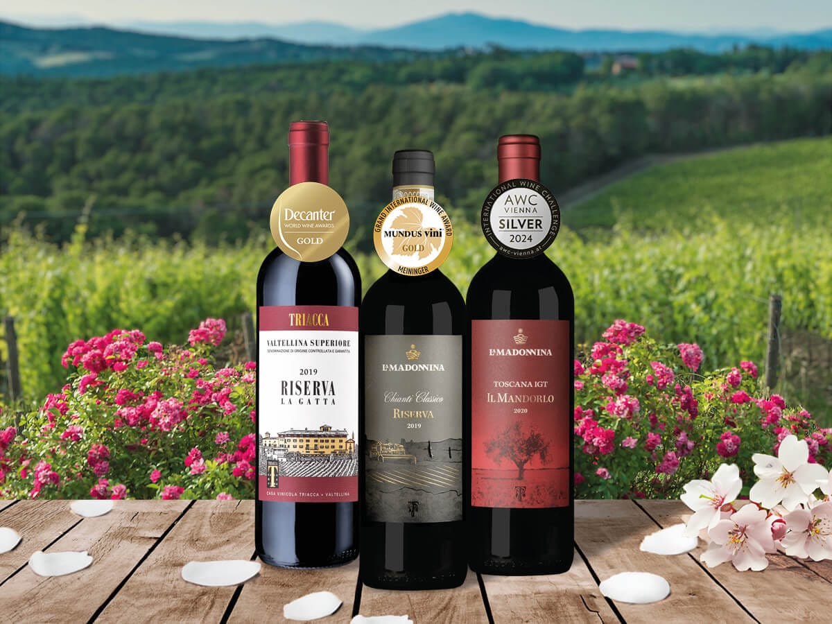 Wines of Valtellina, Chianti and Montepulciano | Triacca Winery